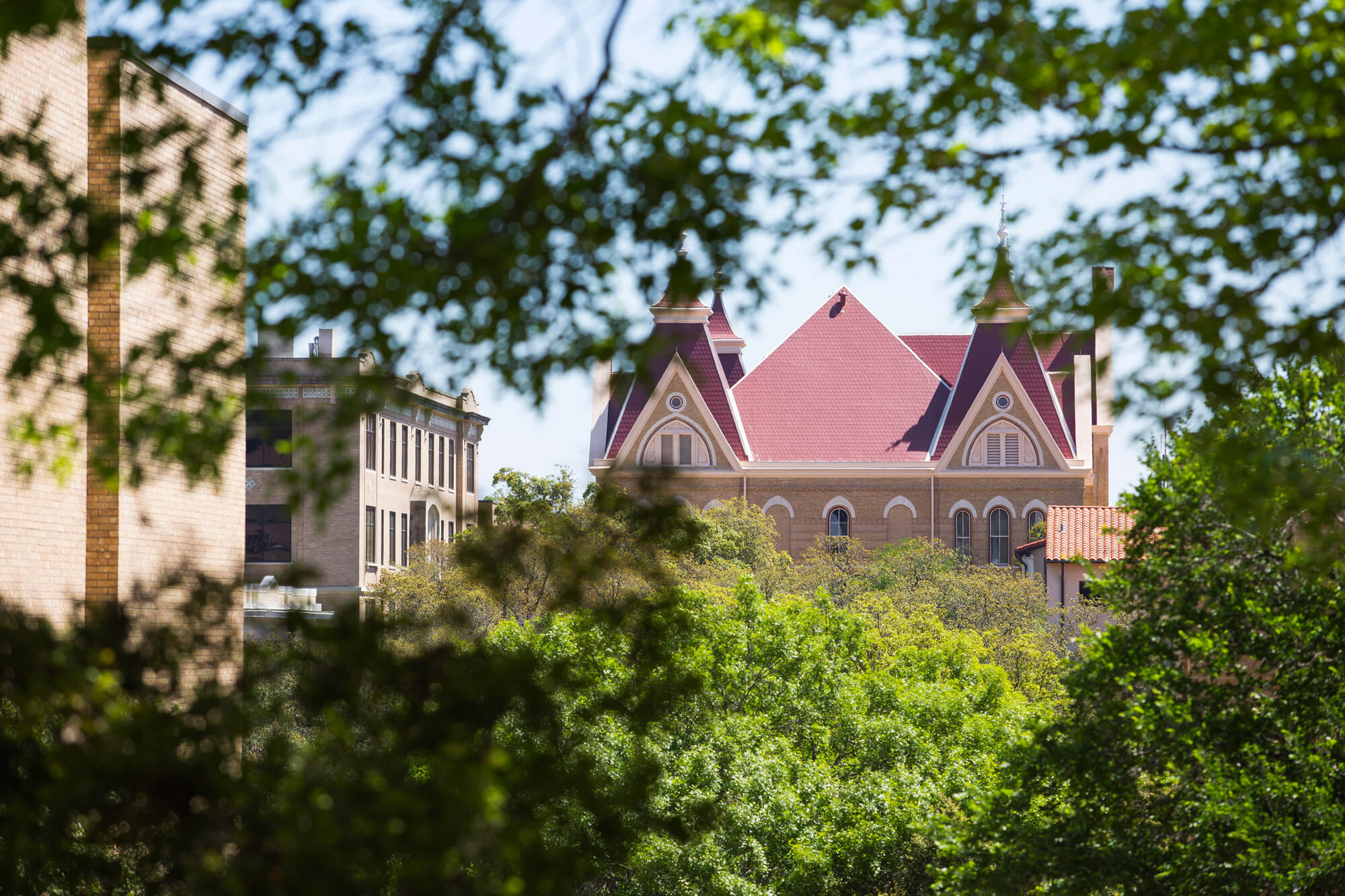 Student Handbook : Texas State University